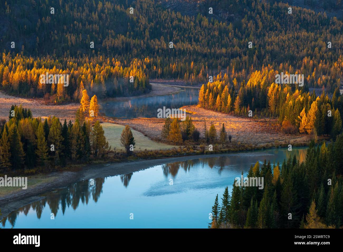 Breathtaking autumn scenery in Altai mountains with vibrant foliage and ...