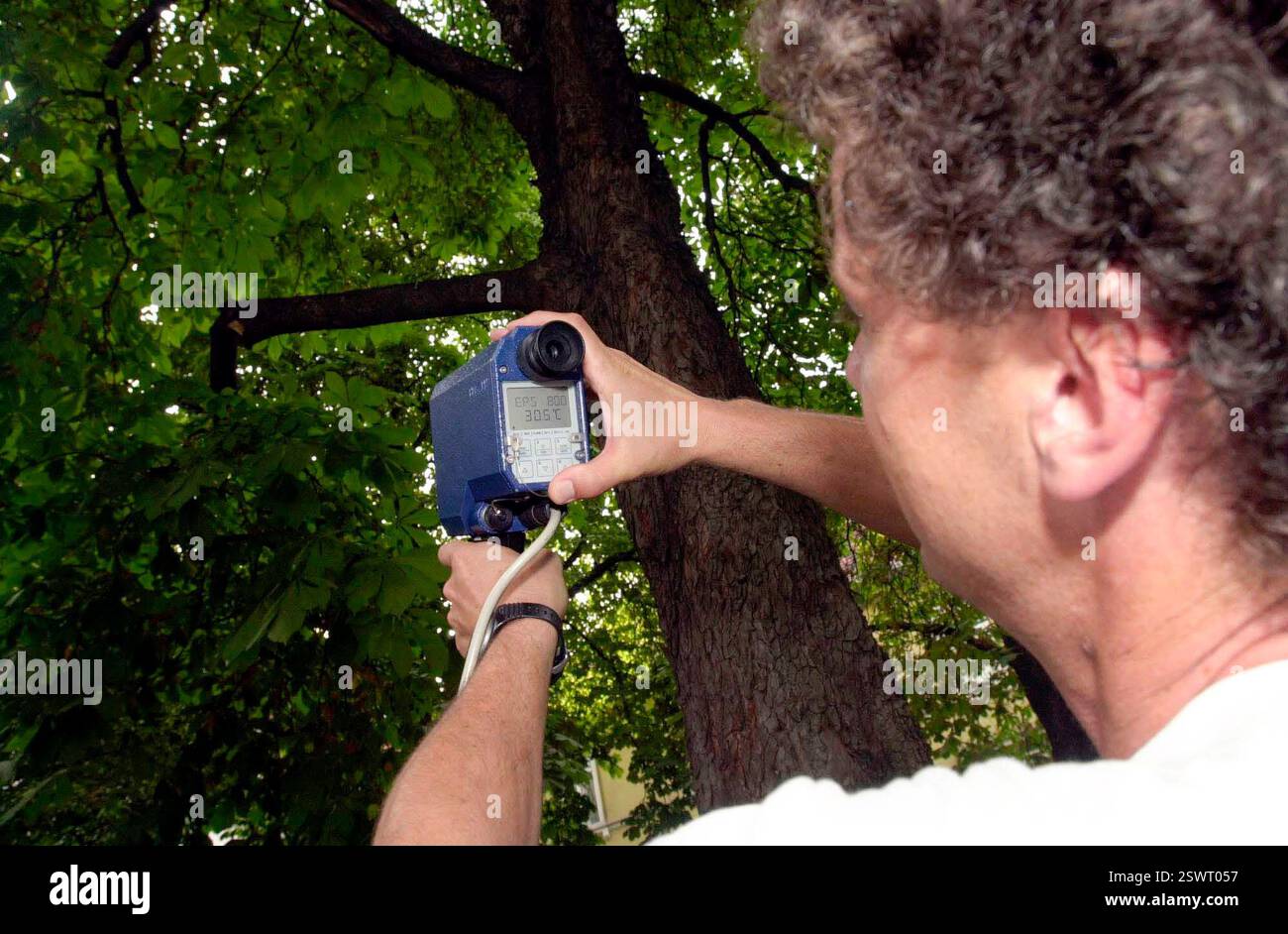 thermometer for measuring and observing the temperature, weather and ...