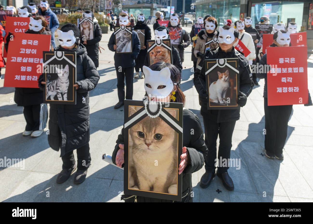 Activists wearing cat masks from animal rights groups hold placards ...