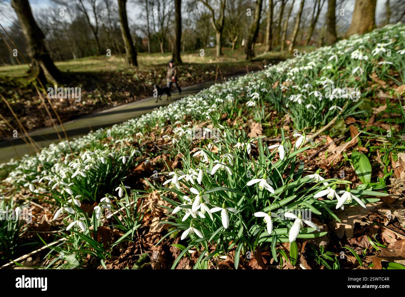Bolton, Lancashire, UK, 22nd February, 2025. A beautiful sunny morning ...