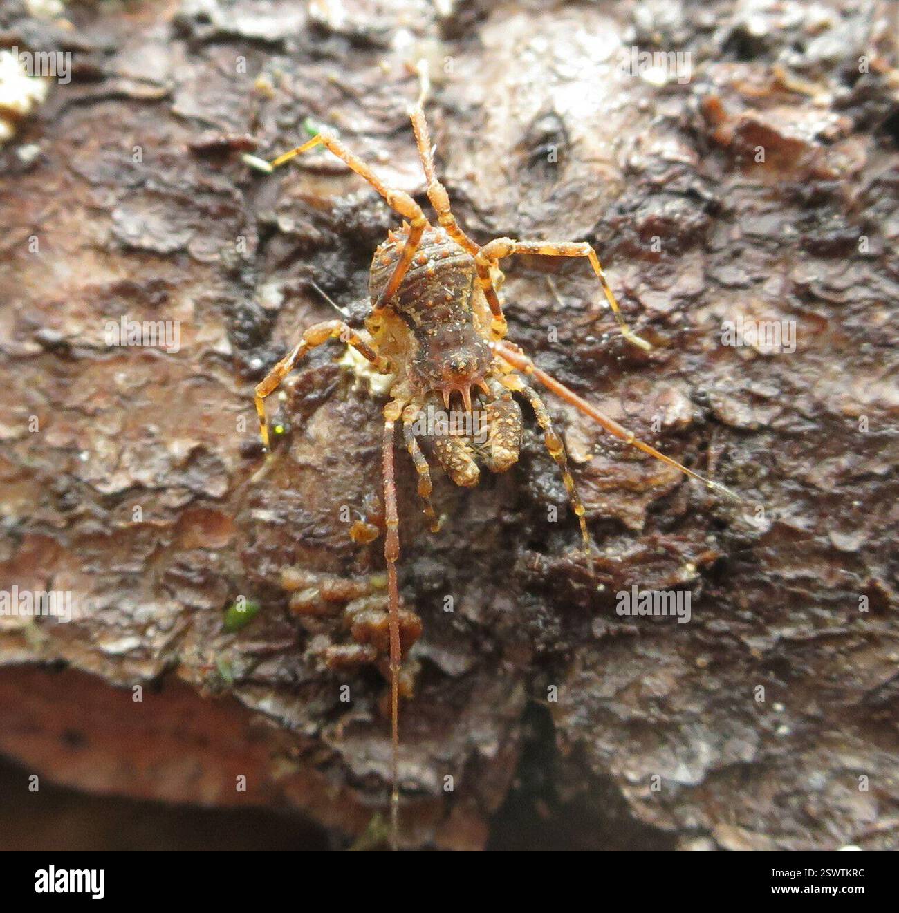 Waipa road hi-res stock photography and images - Alamy