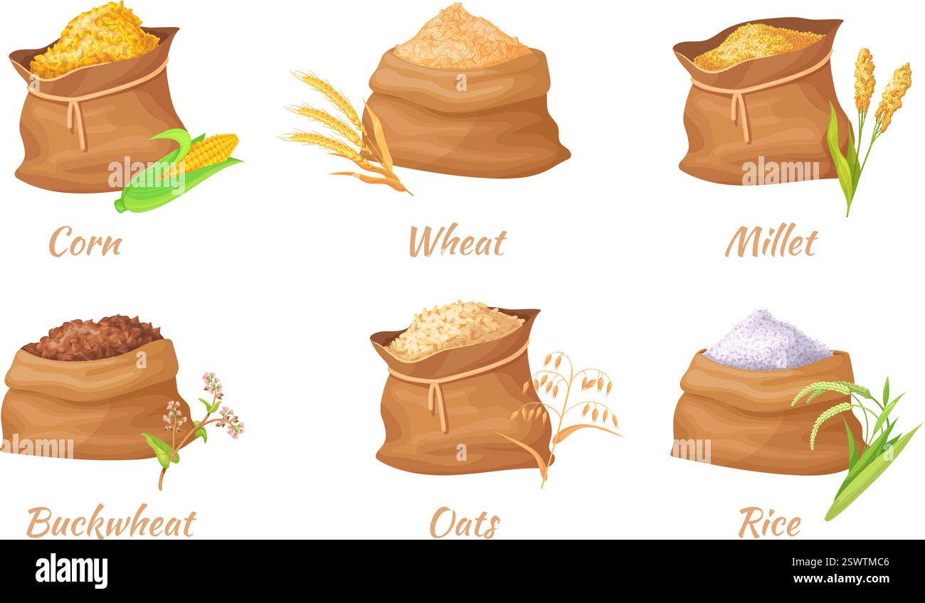 Cartoon cereal bags. Wheat grains, barley ripe seeds flour or rice oat ...