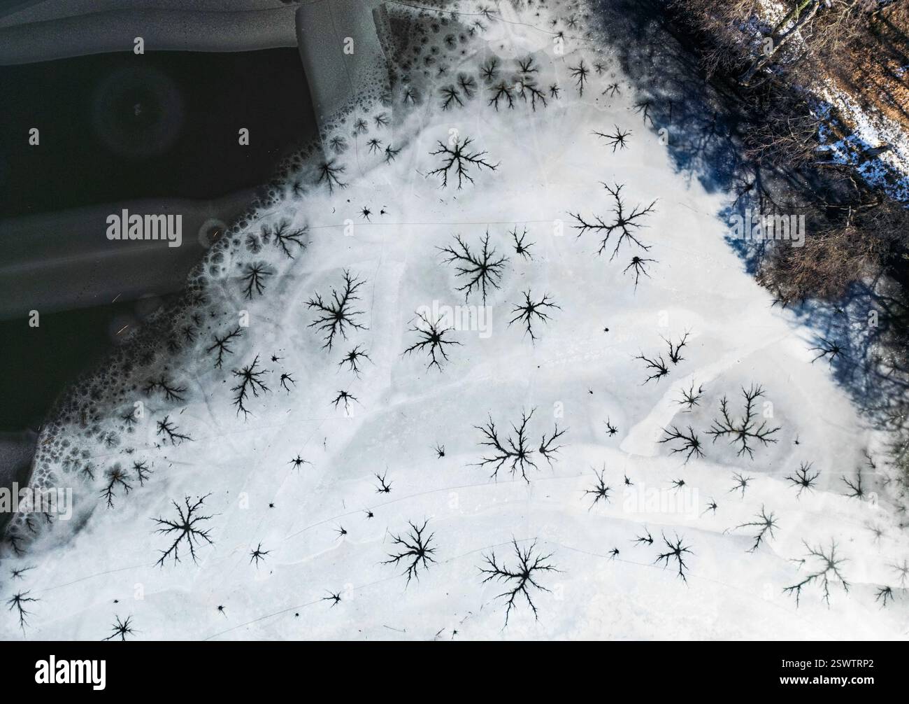 Treplin, Germany. 22nd Feb, 2025. Bizarre cracks have formed on a patch ...