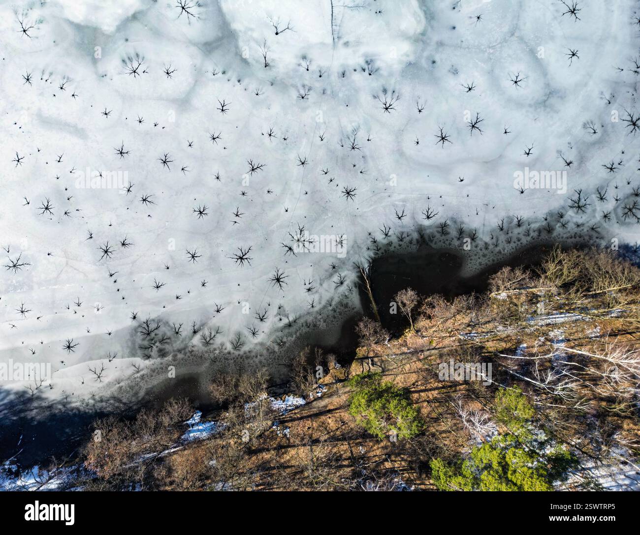 Treplin, Germany. 22nd Feb, 2025. Bizarre cracks have formed on a patch ...
