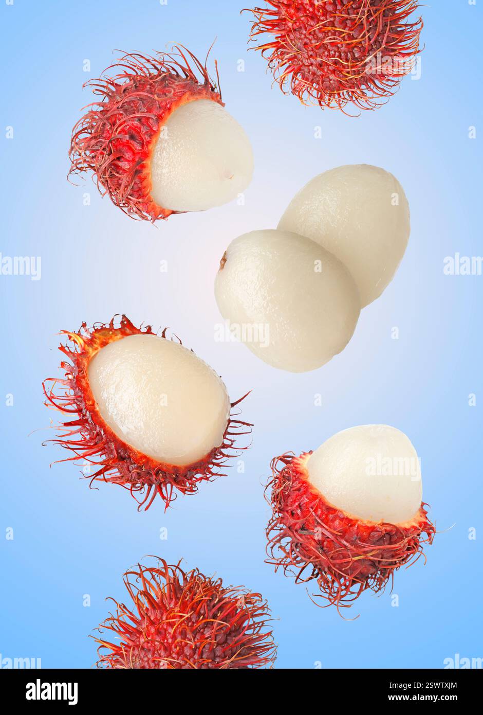 Fresh rambutan fruits in air on light blue gradient background Stock ...