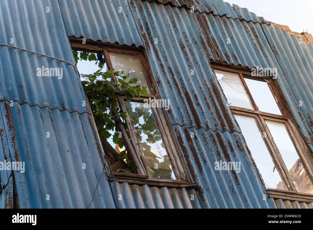 A dilapidated building clad in blue corrugated metal panels, with ...