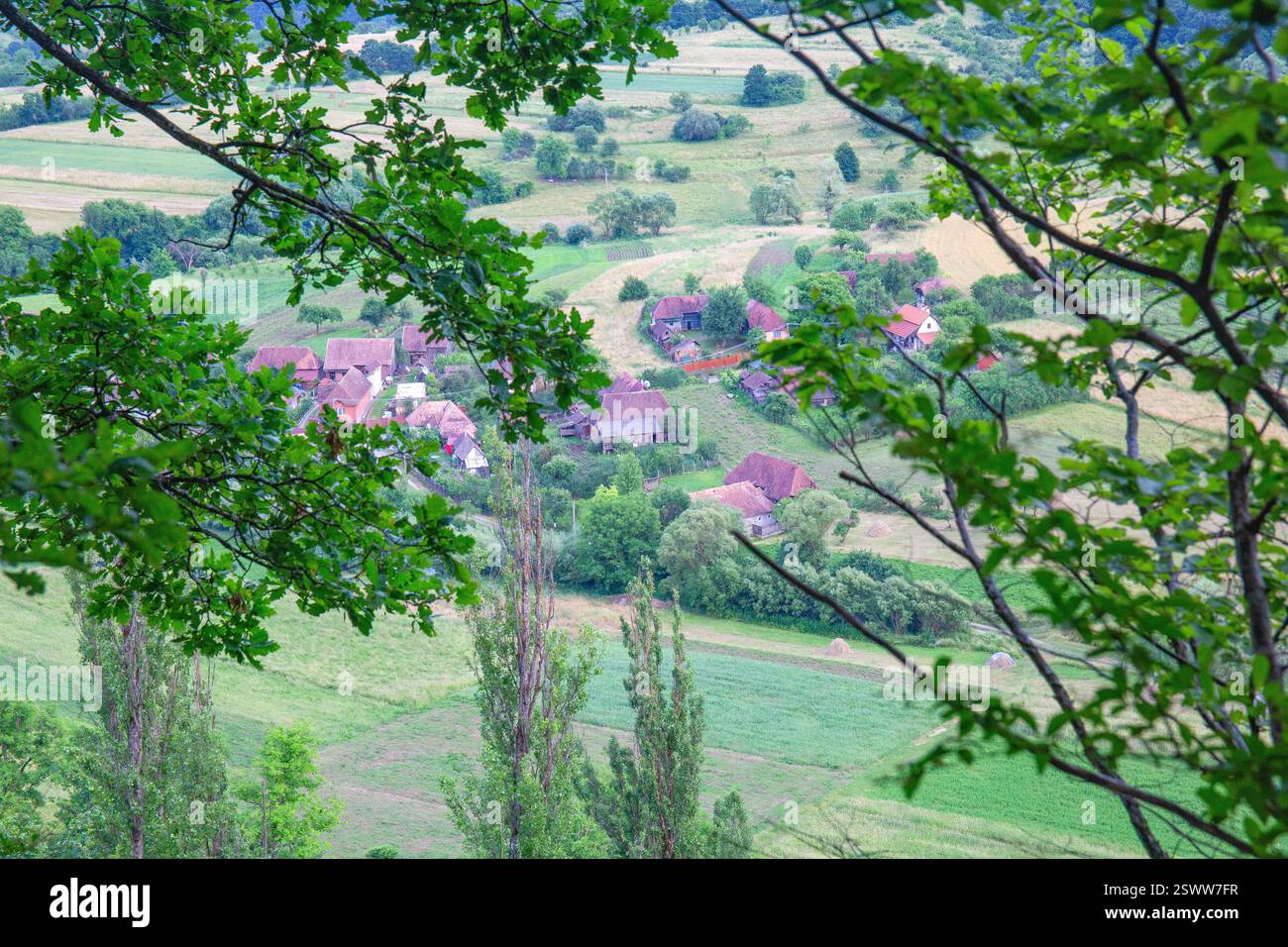 Peaceful rural scenery with houses, green fields, and leafy trees ...