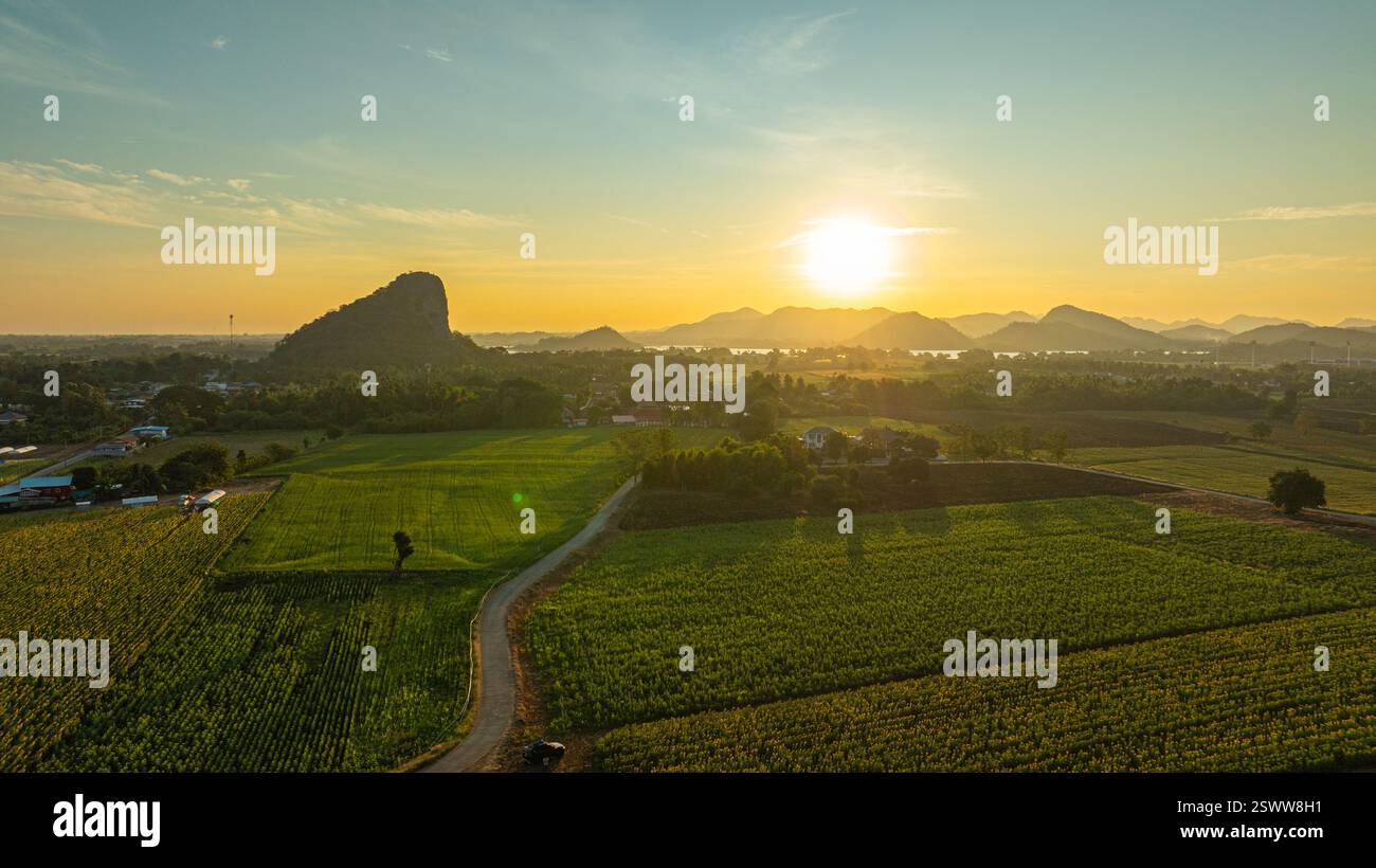 Time lapse scenic sunflower field hi-res stock photography and images ...