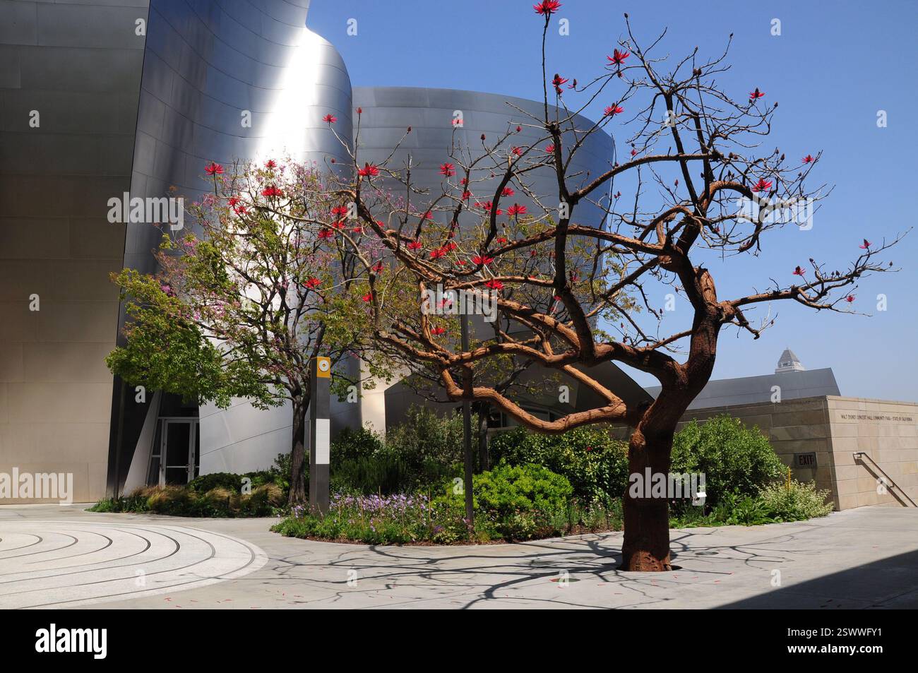 Modern architecture with metal curves and blossom tree in urban setting ...