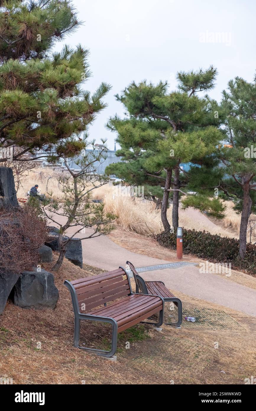 A bench with garden view of Heunginjimun park in Dongdaemun area of ...
