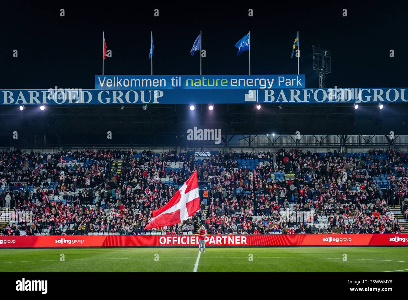 Odense, Denmark. 21st, February 2025. Football fans of Denmark seen on ...