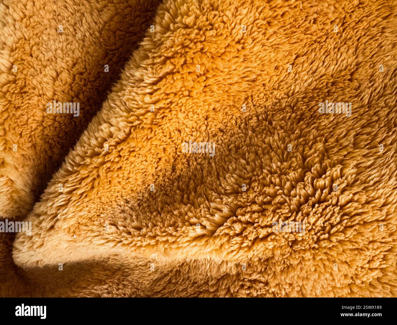The close-up view shows a soft, golden fabric with fluffy textures ...