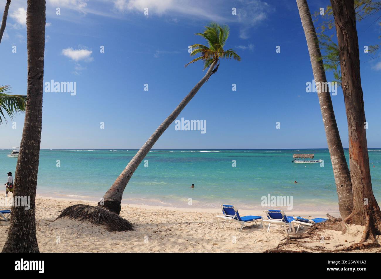Punta Cana, La Altagracia, Domenican Republic. May 01, 2012: Tropical ...