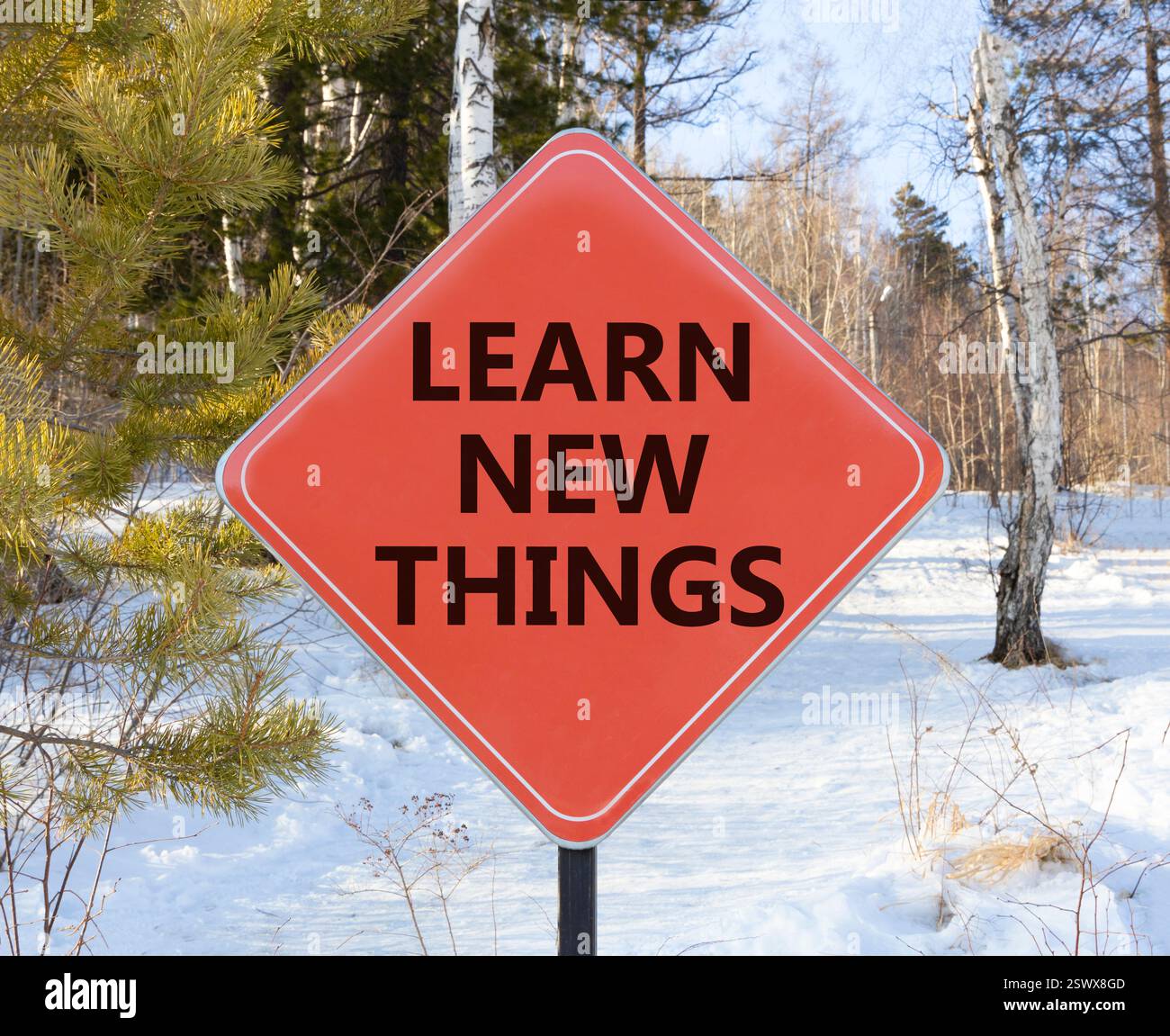 Learn new things symbol. Concept words Learn new things on beautiful ...