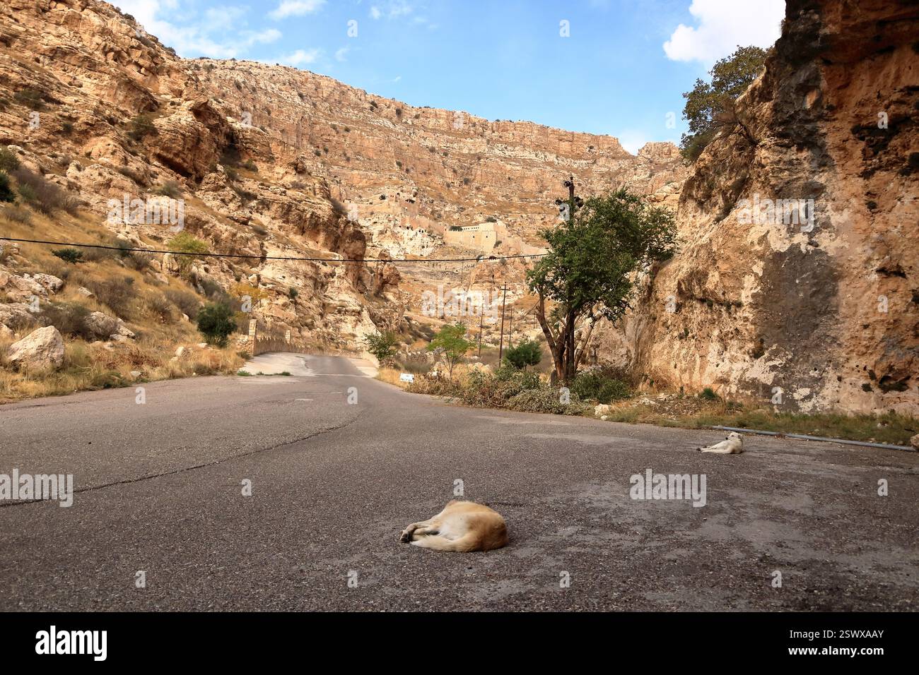 view to the Monastery of Rabban Hormizd in the Christian town of Alqosh ...