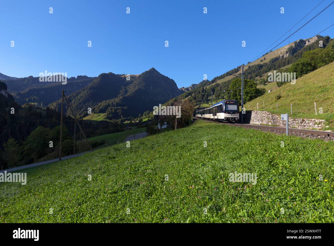 Swiss Golden pass train passing the countryside at Allières ...