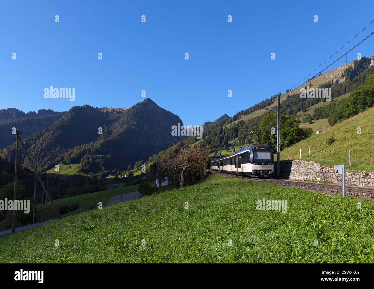 Swiss Golden pass train passing the countryside at Allières ...