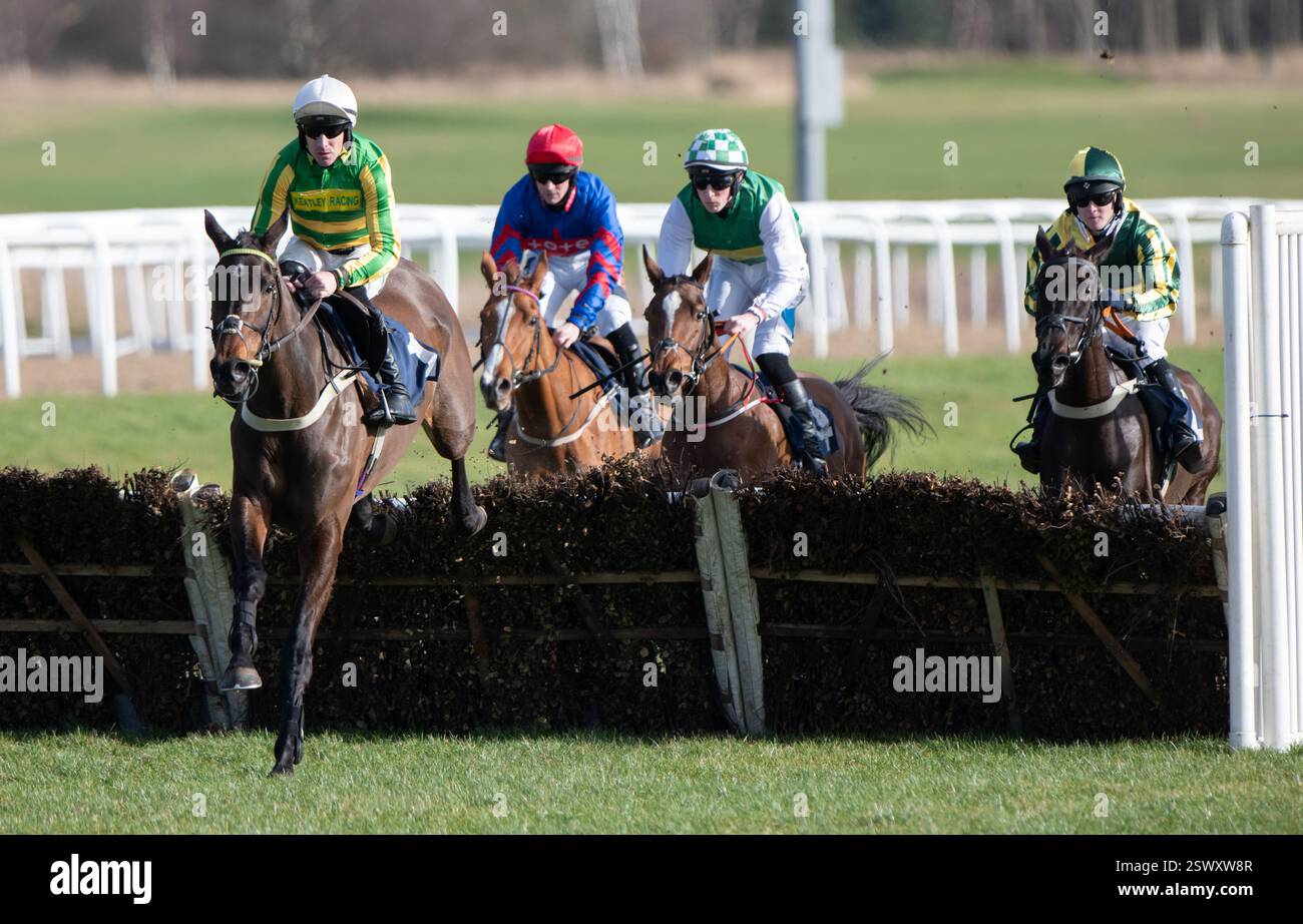 Newcastle, United Kingdom. Saturday 22nd February 2025. Surrey Belle ...