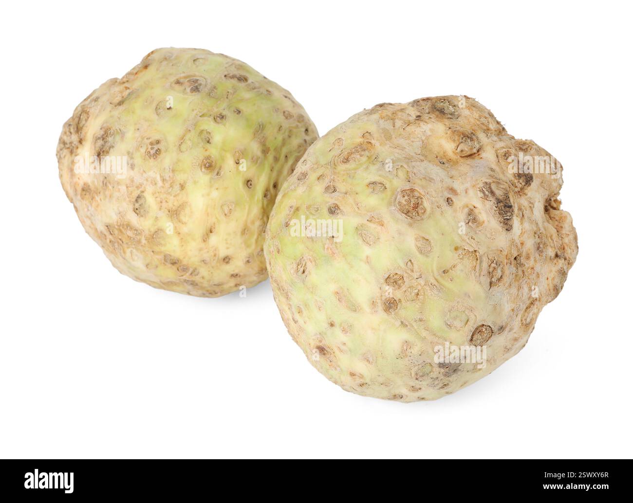 Two fresh celery roots isolated on white Stock Photo - Alamy
