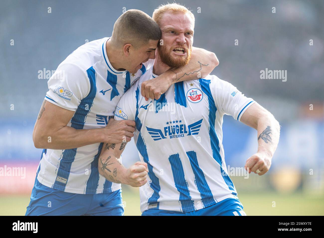 Rostock, Deutschland 22. Februar 2025: 3. Liga - 2024/2025 - FC Hansa ...
