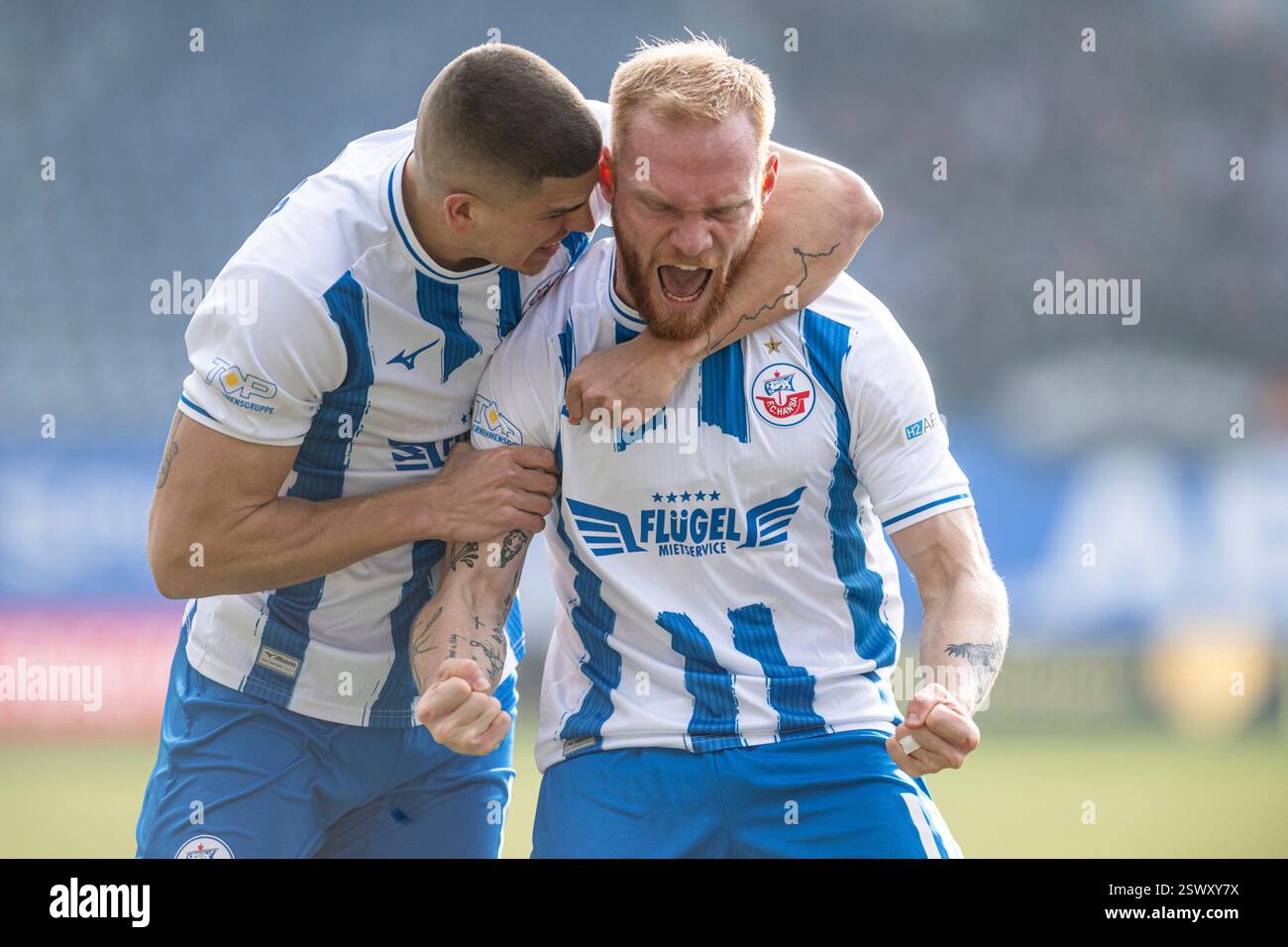 Rostock, Deutschland 22. Februar 2025: 3. Liga - 2024/2025 - FC Hansa ...