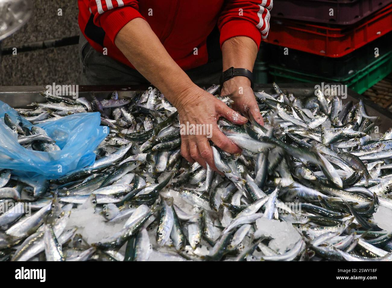 The saleswomen in the Pula fish market have their hands full after the ...
