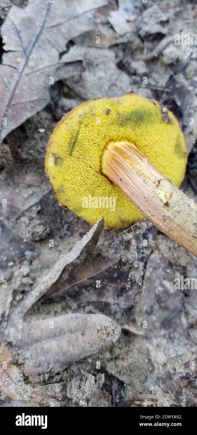 Prairie du sac hi-res stock photography and images - Alamy