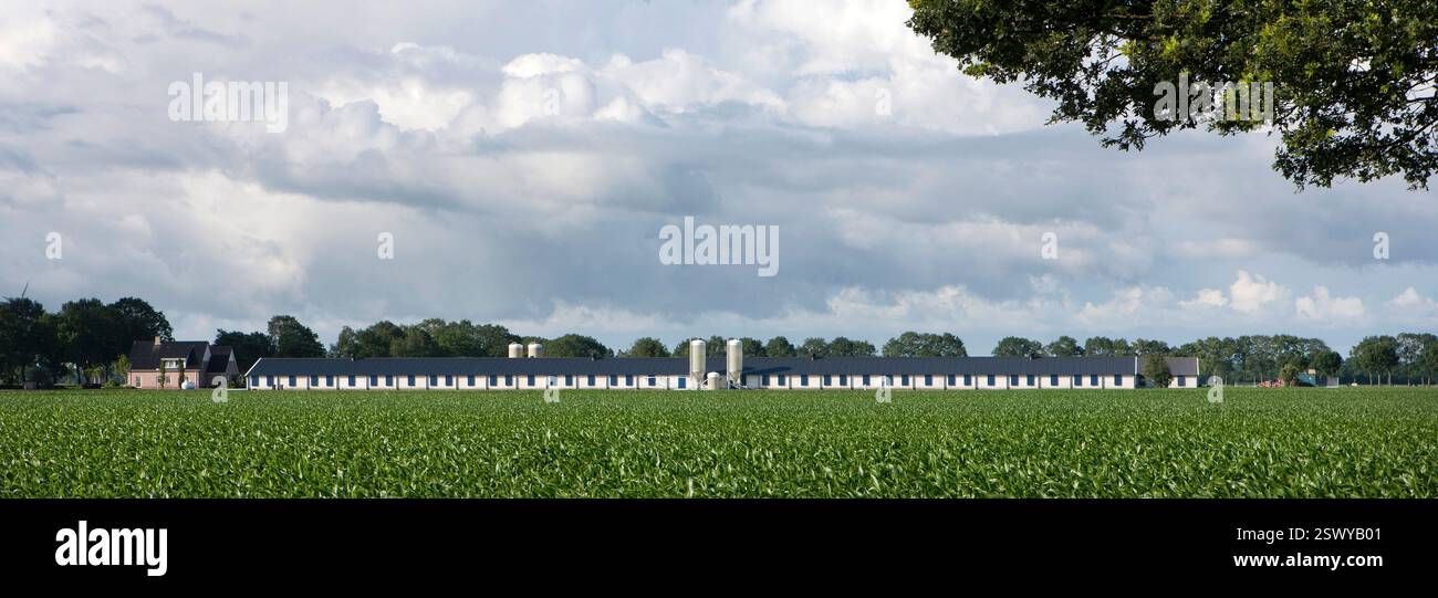 Modern chicken stable in landscape. Modern farming Stock Photo - Alamy