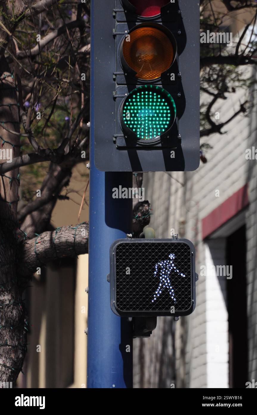 Urban streetlight and pedestrian signal in a sunny San Diego ...