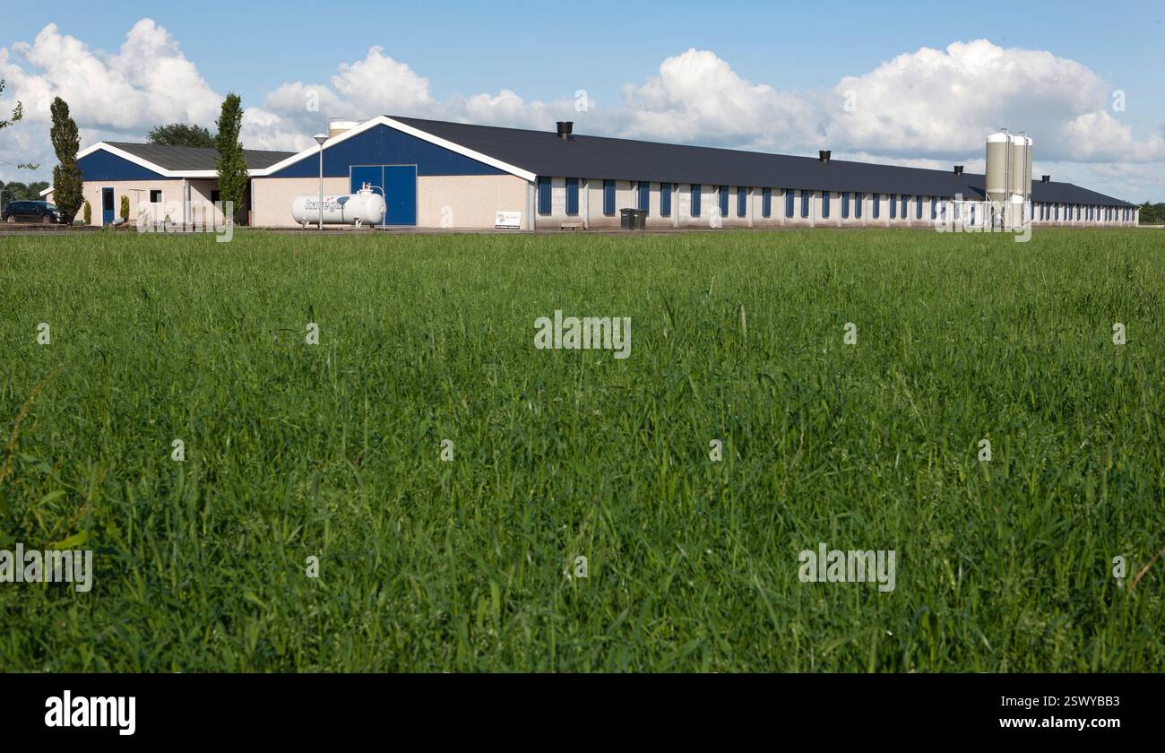 Modern chicken stable in landscape. Modern farming Stock Photo - Alamy