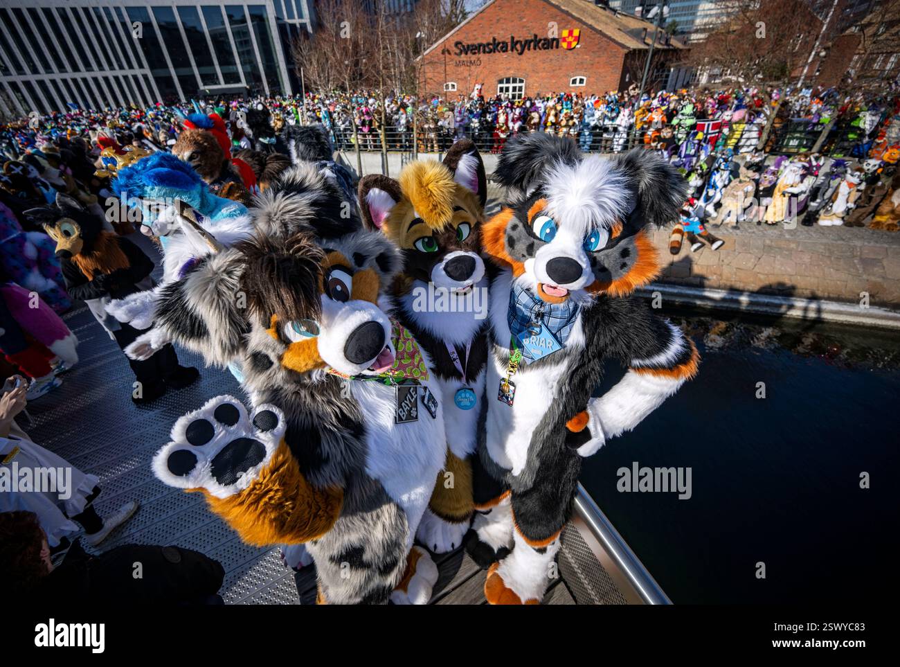 MALMÖ 2025-02-22 A fur-clad walk through Malmö in the spring sun on ...