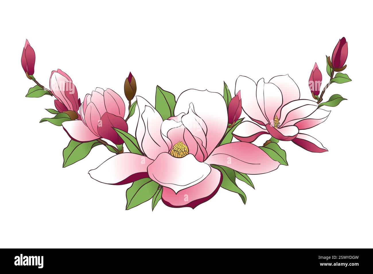 Flowers buds magnolia spring flower Stock Vector Images - Alamy