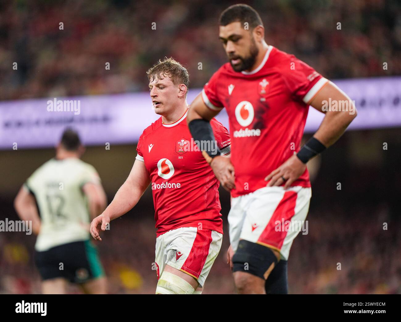 Wales' Jac Morgan and Taulupe Faletau during the Guinness Men's Six ...