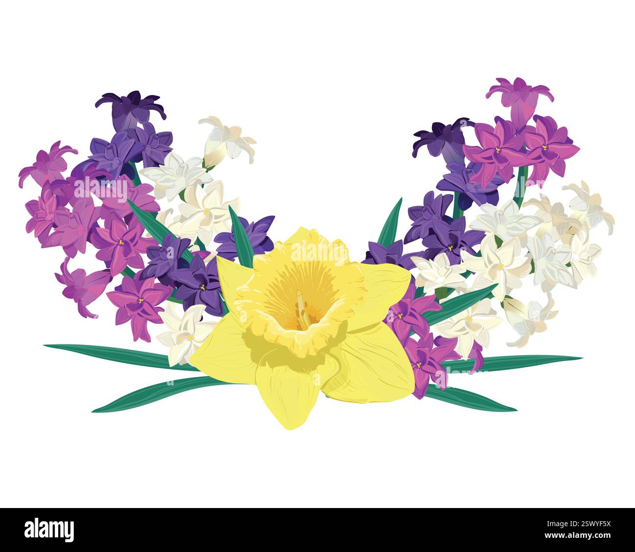 Composition of bright spring flowers. Vector colored hyacinths and ...