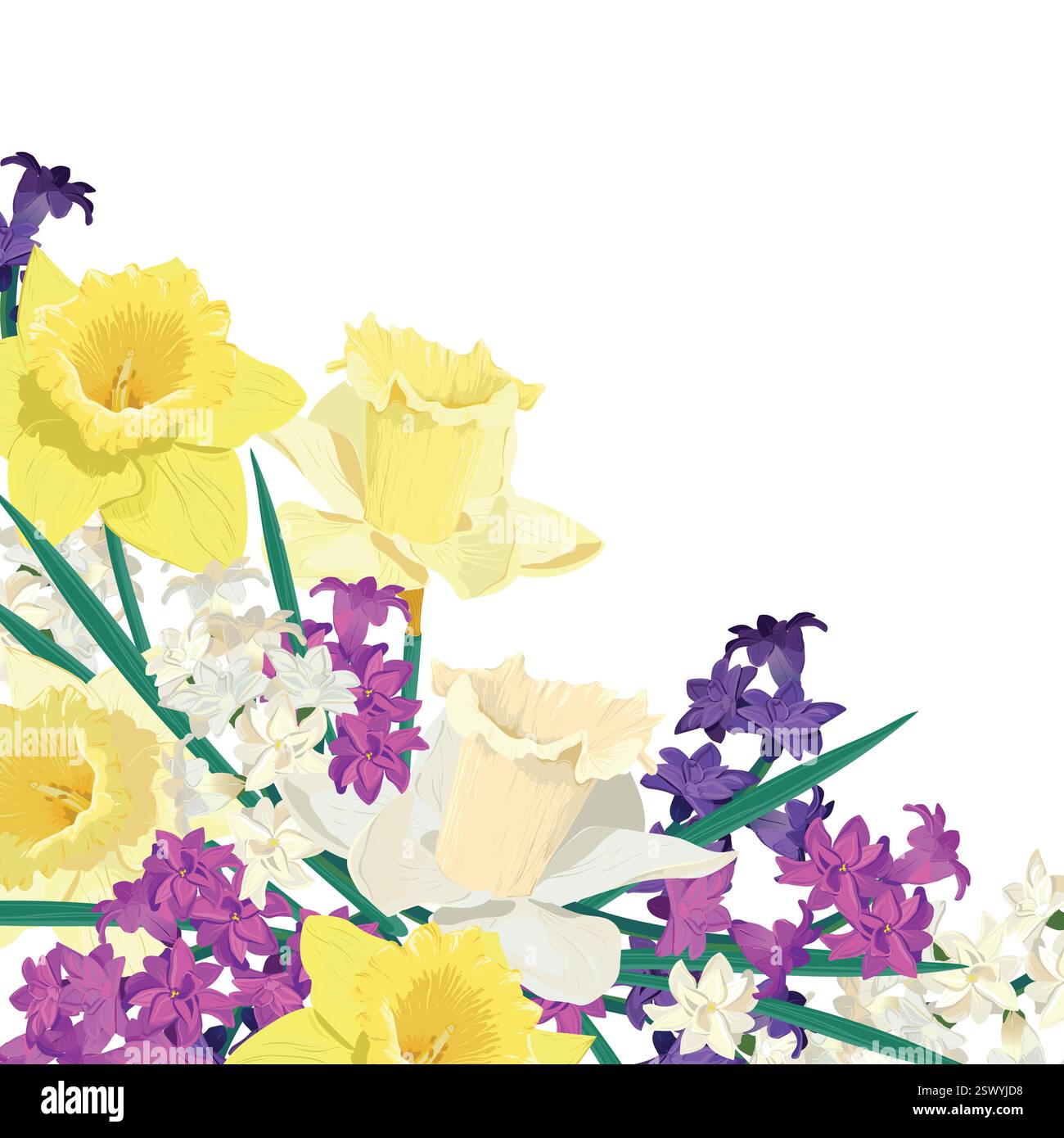 Spring composition purple hyacinth Stock Vector Images - Alamy