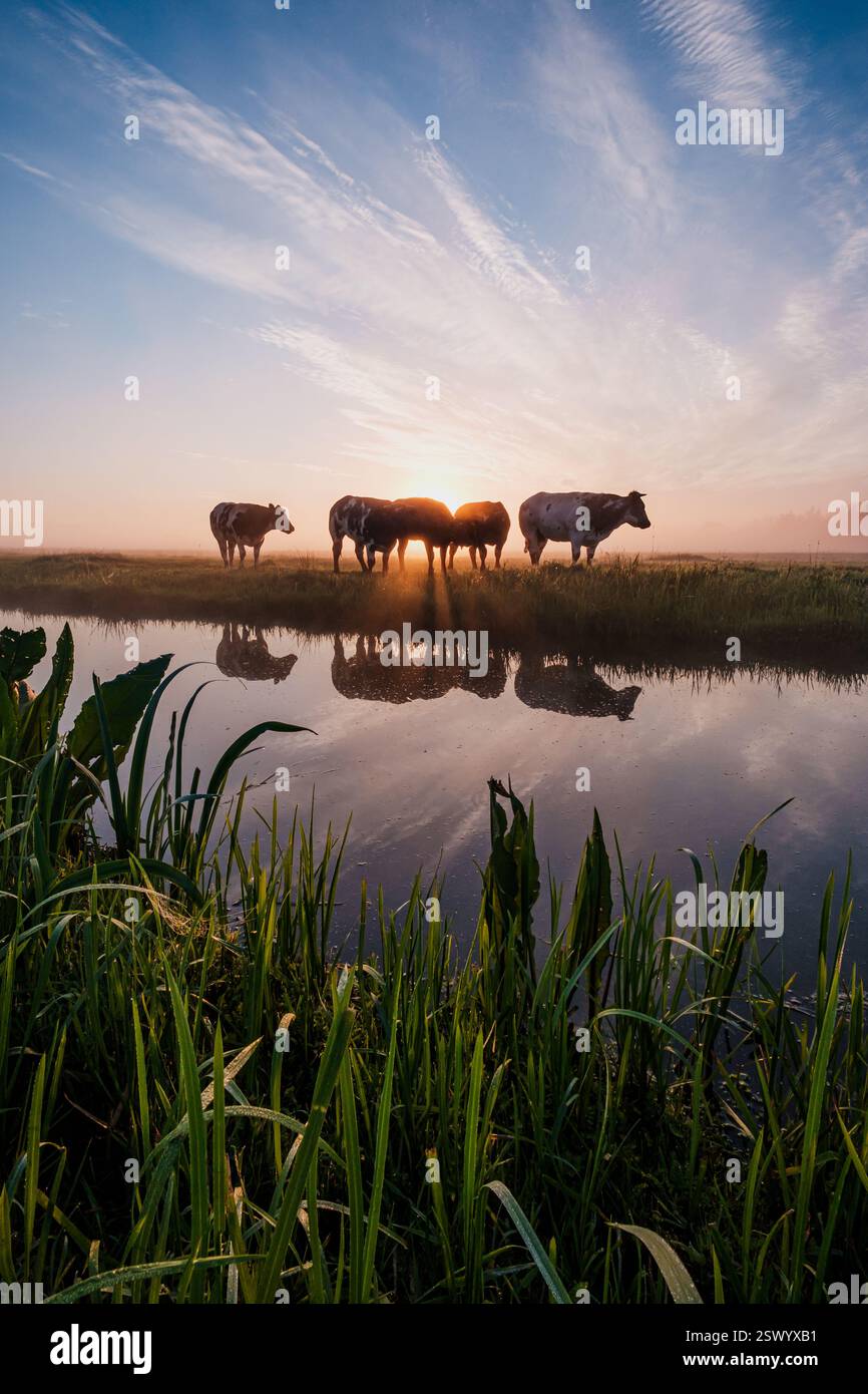 Bovenberg hi-res stock photography and images - Alamy