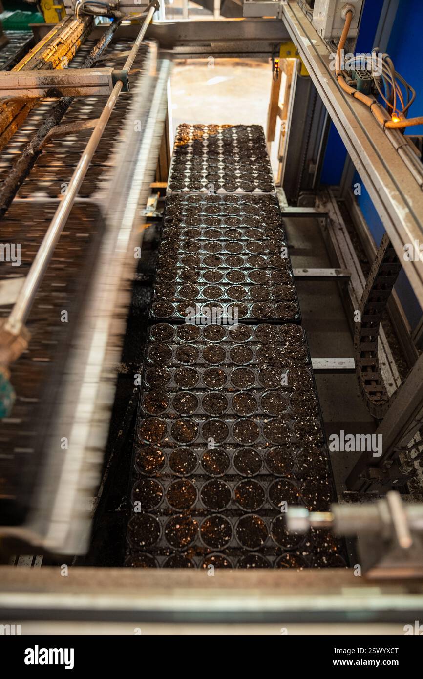 Pots receive even soil mixture in automatic pallet fill process in ...