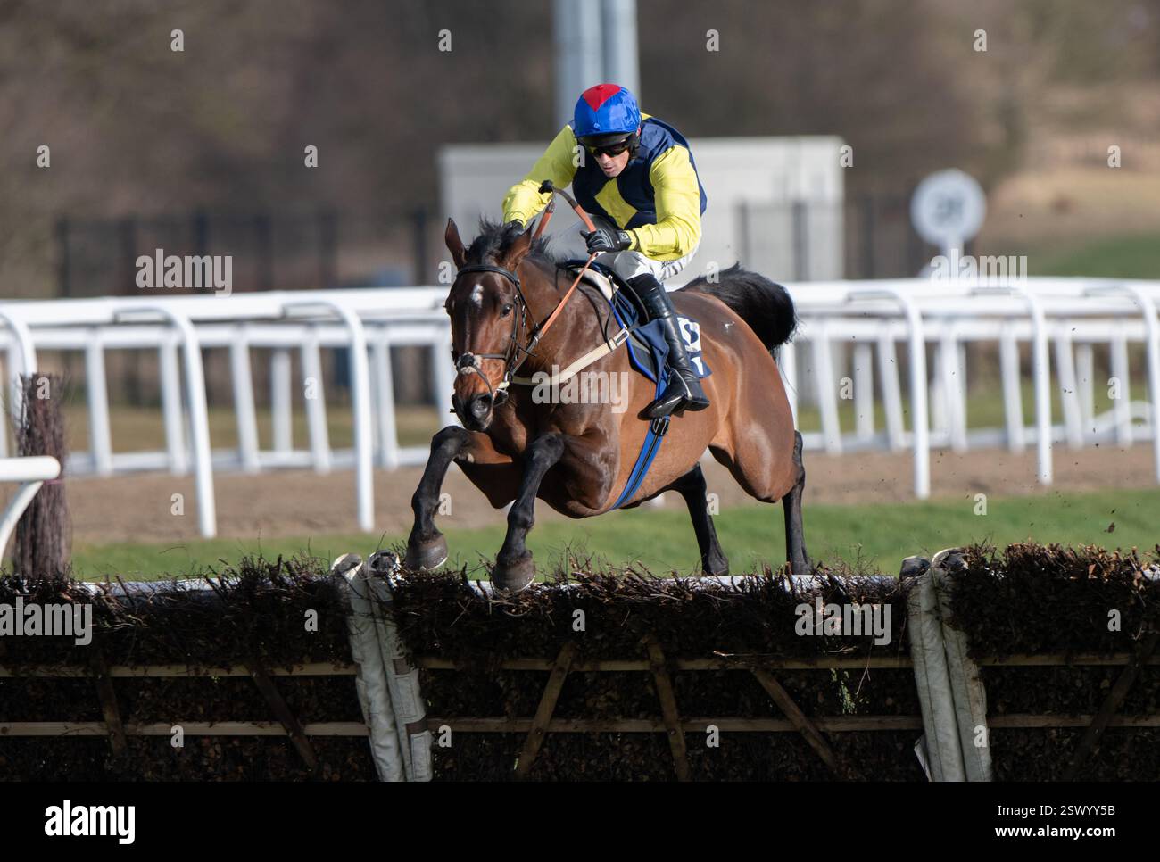 Nicky richards horse trainer hi-res stock photography and images - Alamy