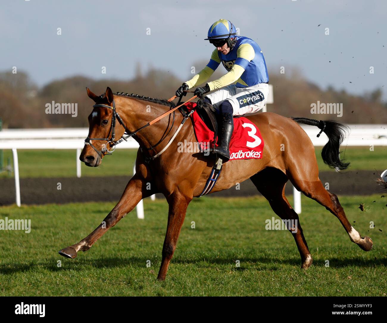 Tripoli Flyer ridden by Jonathan Burk on their way to winning the ...