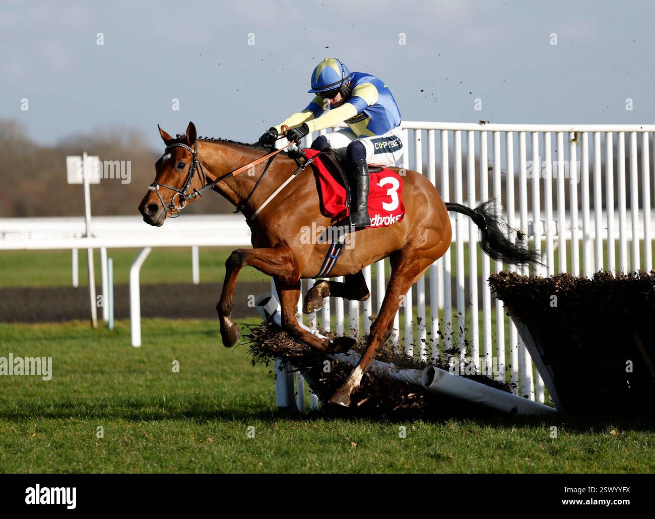 Tripoli Flyer ridden by Jonathan Burk on their way to winning the ...