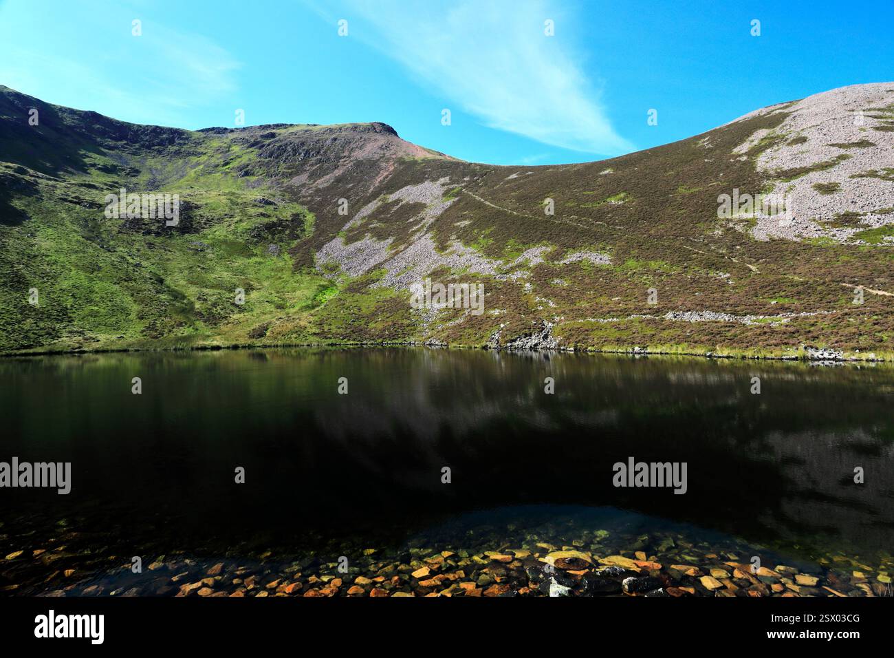 Summer view over Bleaberry Tarn and Red Pike fell, above Buttermere ...