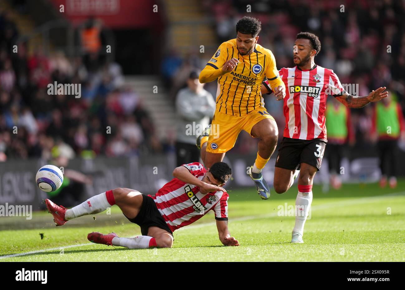 Brighton and Hove Albion's Georginio Rutter (centre) battles with ...