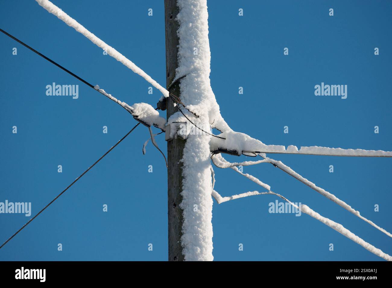 Telephone pole covered with snow Stock Photo - Alamy