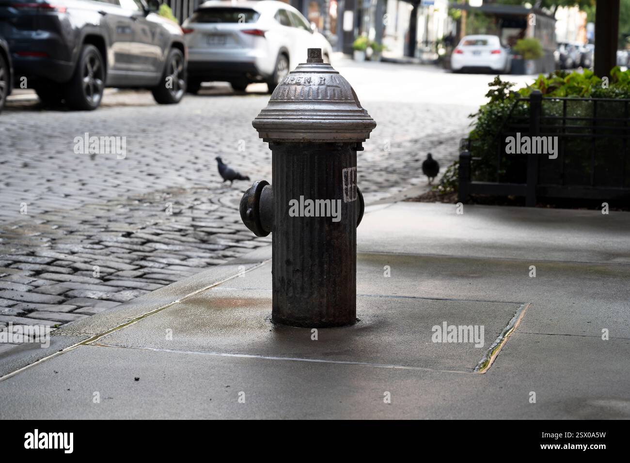 Painted metal fire hydrant hi-res stock photography and images - Alamy