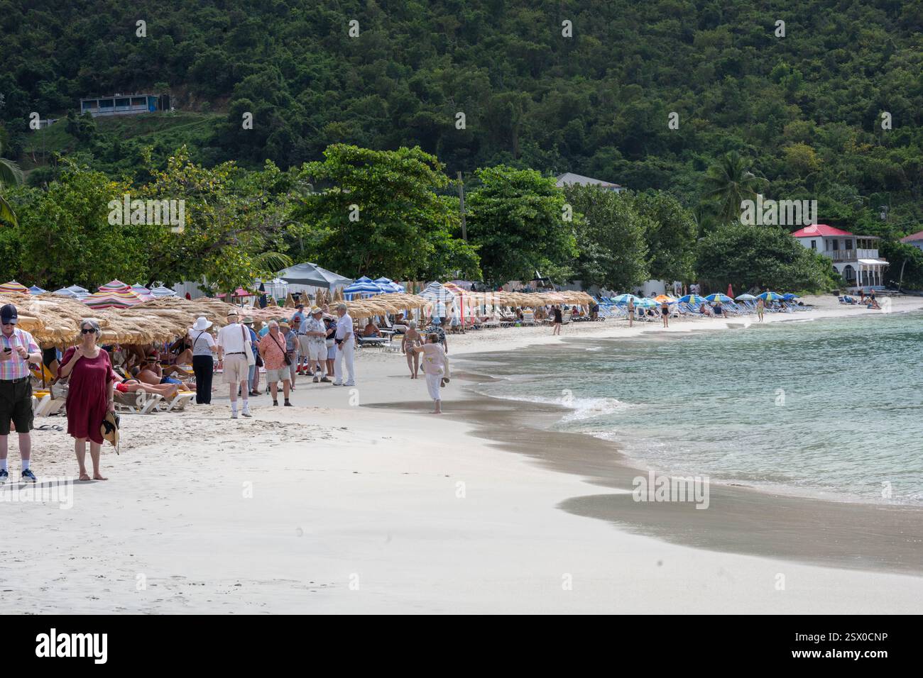 Beach Cane Garden Bay, Tortola British Virgin Islands Stock Photo - Alamy