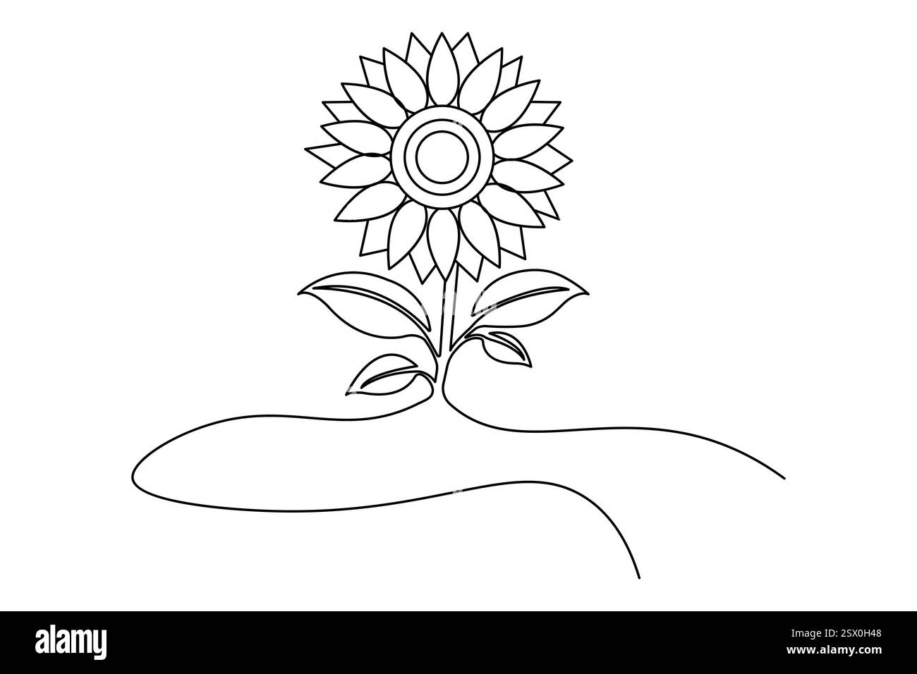 Continuous one line sunflower with black and white vector icon Stock ...