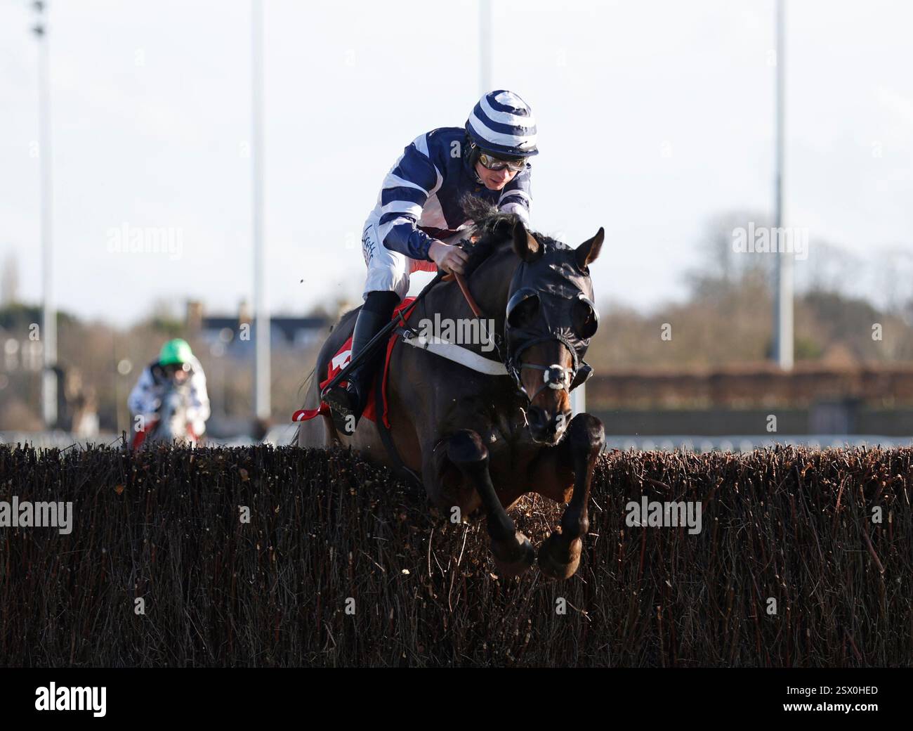 Katate Dori ridden by Charlie Deutsch on their way to winning the Ladbrokes Trophy Handicap ...