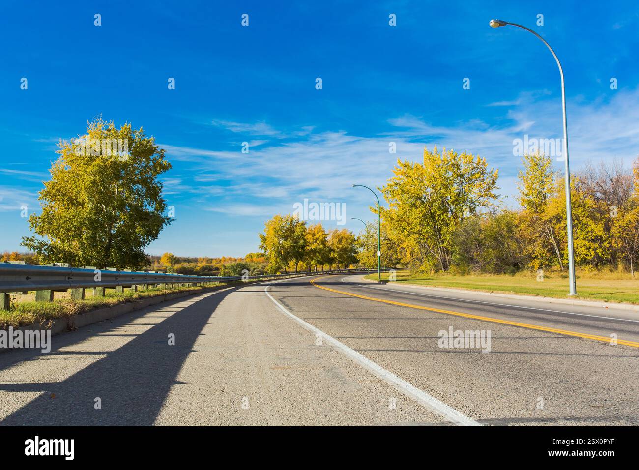 Road with trees on both sides and a blue sky. There are no cars on the ...