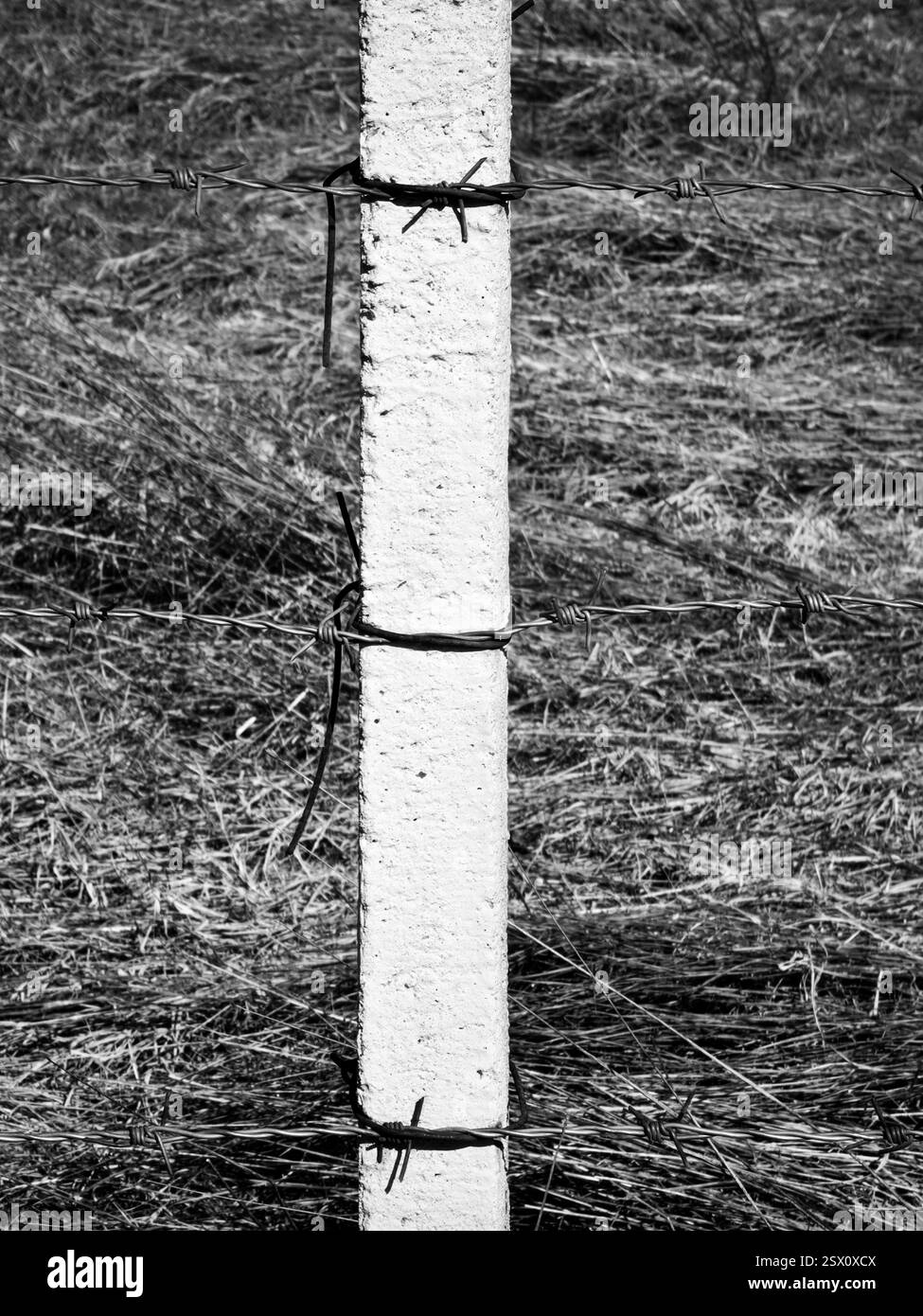 White Concrete Pillar Bound by Barbed Wire. Monochrome detail Stock ...