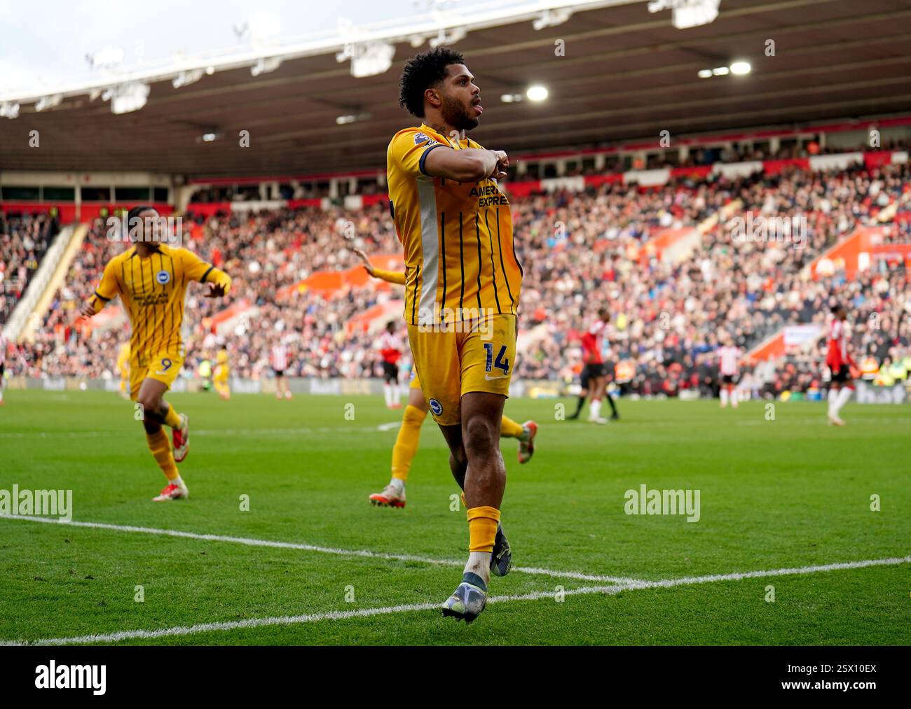 Brighton and Hove Albion's Georginio Rutter celebrates scoring their ...